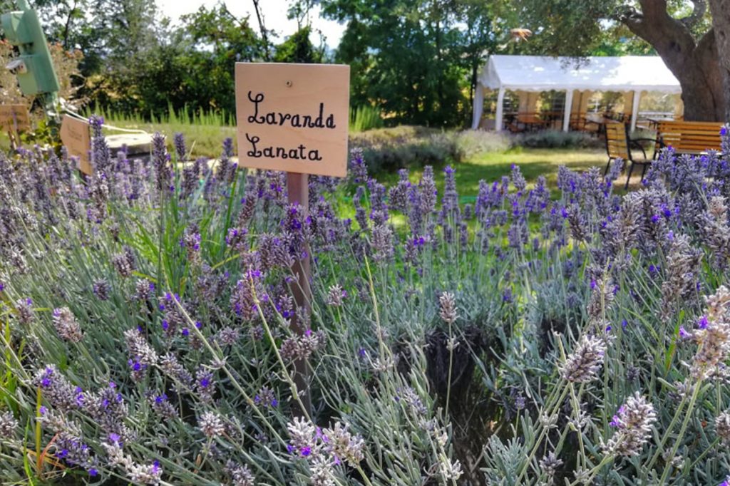 Le esperienze al Centrale - Centrale Macerata